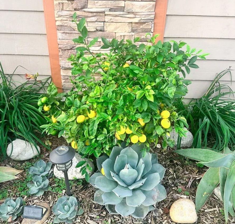 2425 Heather Ave, Long Beach, CA 90815 for sale - Stessa