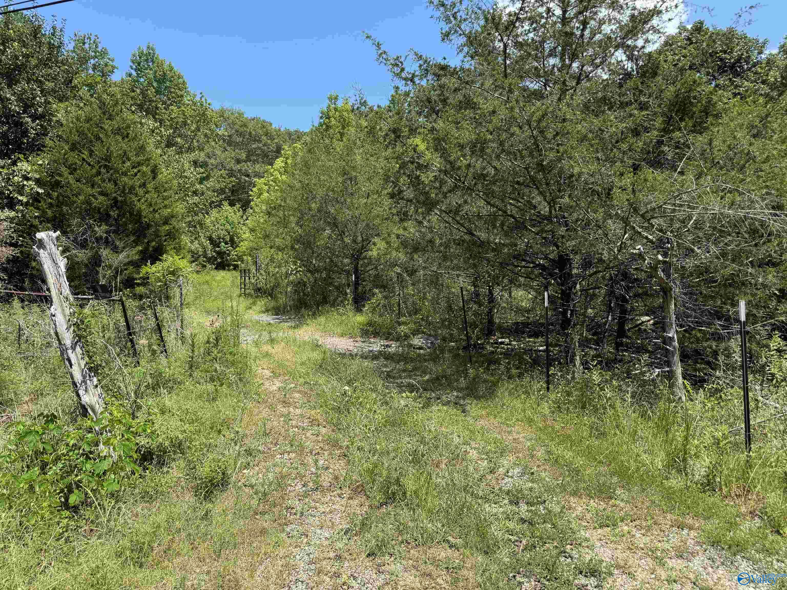 494 County Road 221 For Sale, Scottsboro, AL 35768 Land | ByOwner