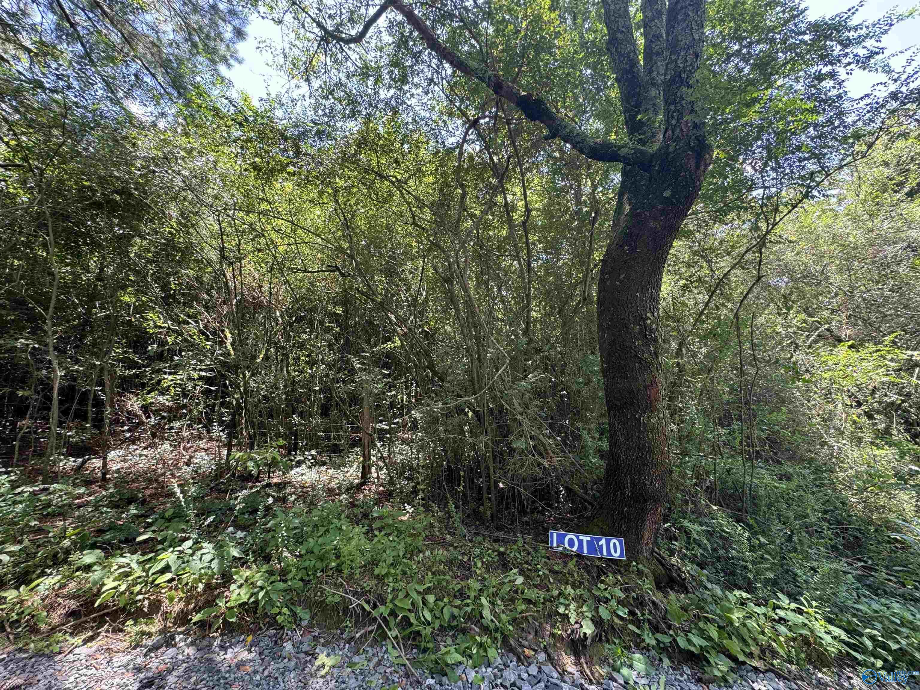 10=10+6 Hogs Lane For Sale, Albertville, AL 35951 Land | ByOwner