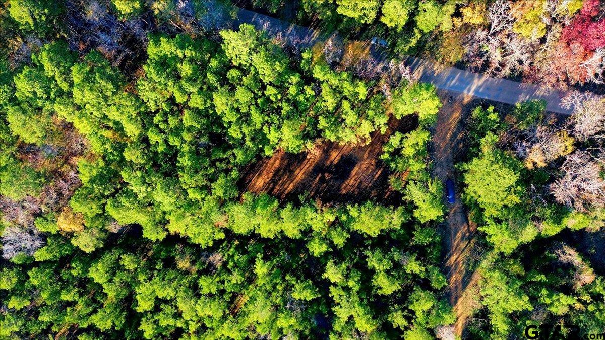 222 S Main Street, Arp, TX, 75750- Properties - Pamelawalters.com