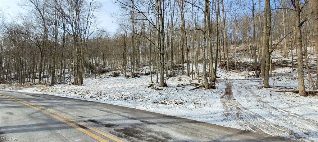 80700 Slab Camp Road, Cadiz, OH 43907, MLS #5012891 - Howard Hanna