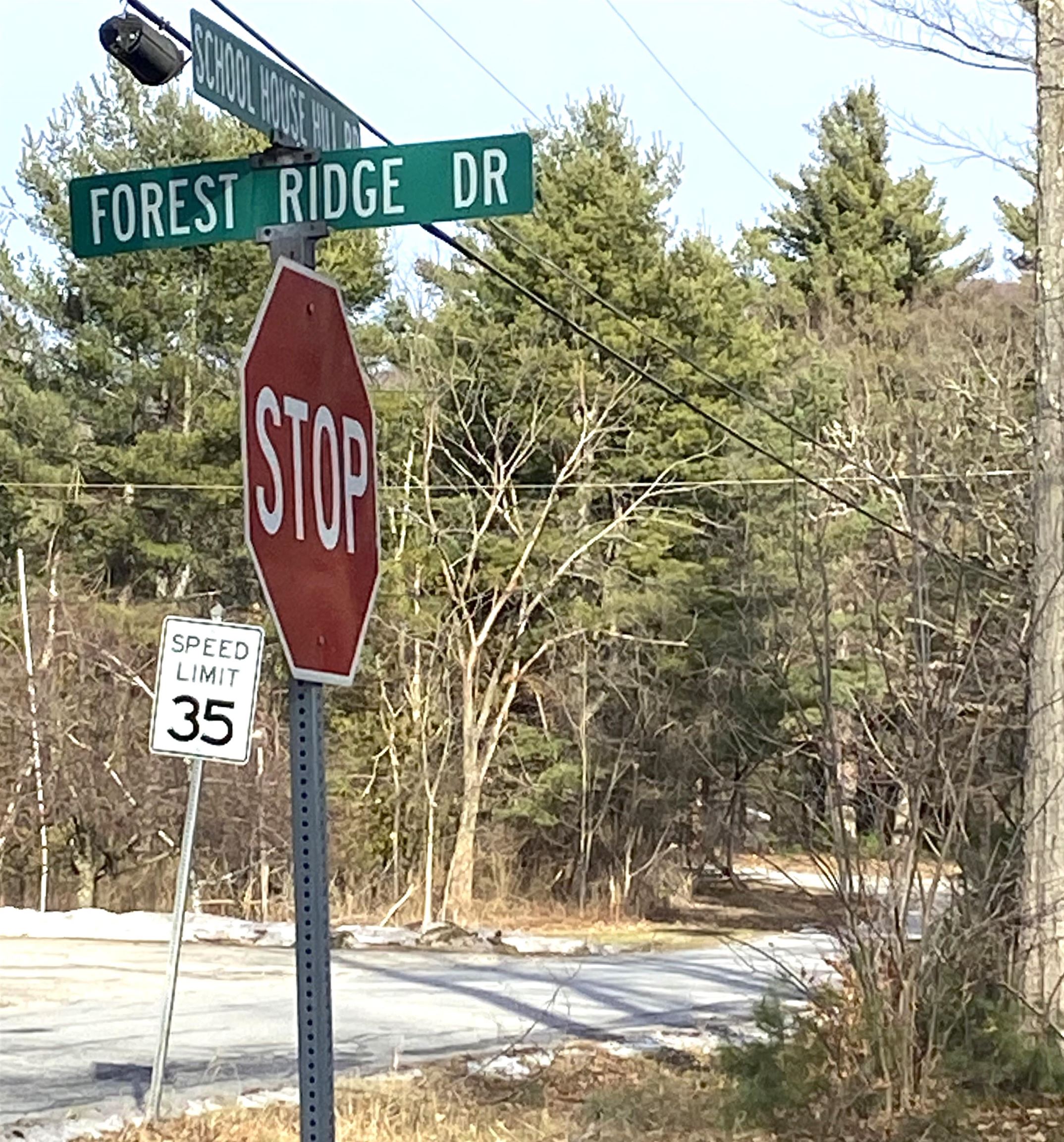 20 Forest Ridge Drive #14, Middlebury, VT 05753 - MLS 5072447 ...