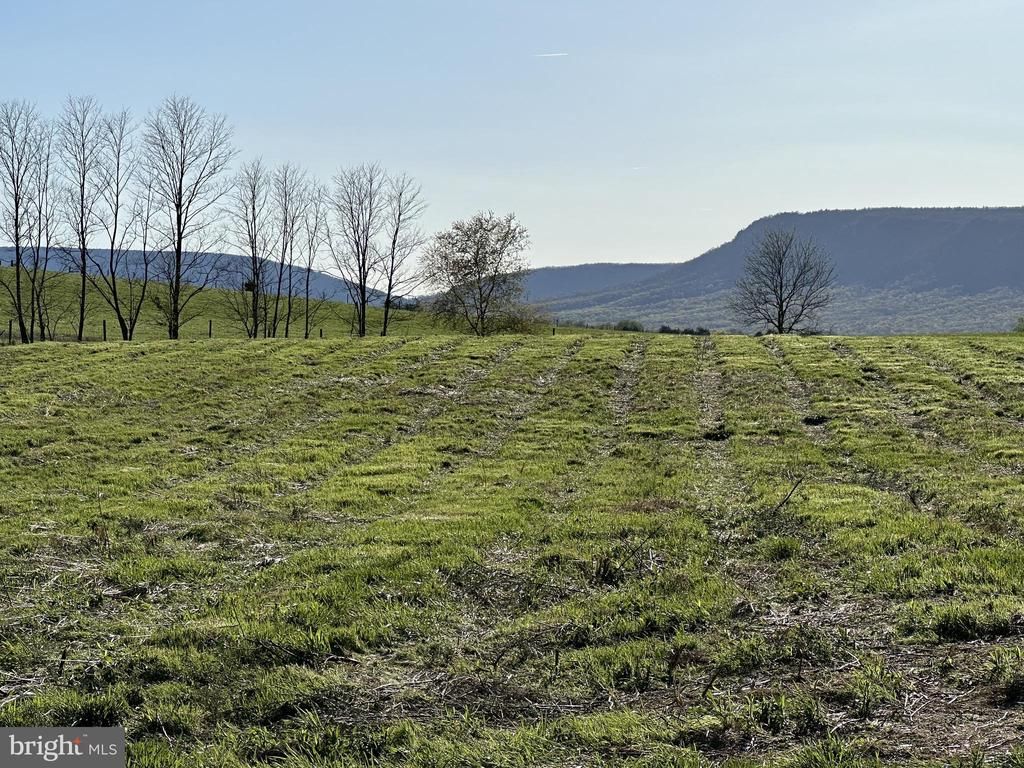 LIBERTY BELL LANE, Luray, VA 22835, MLS #VAPA2003446 - Howard Hanna