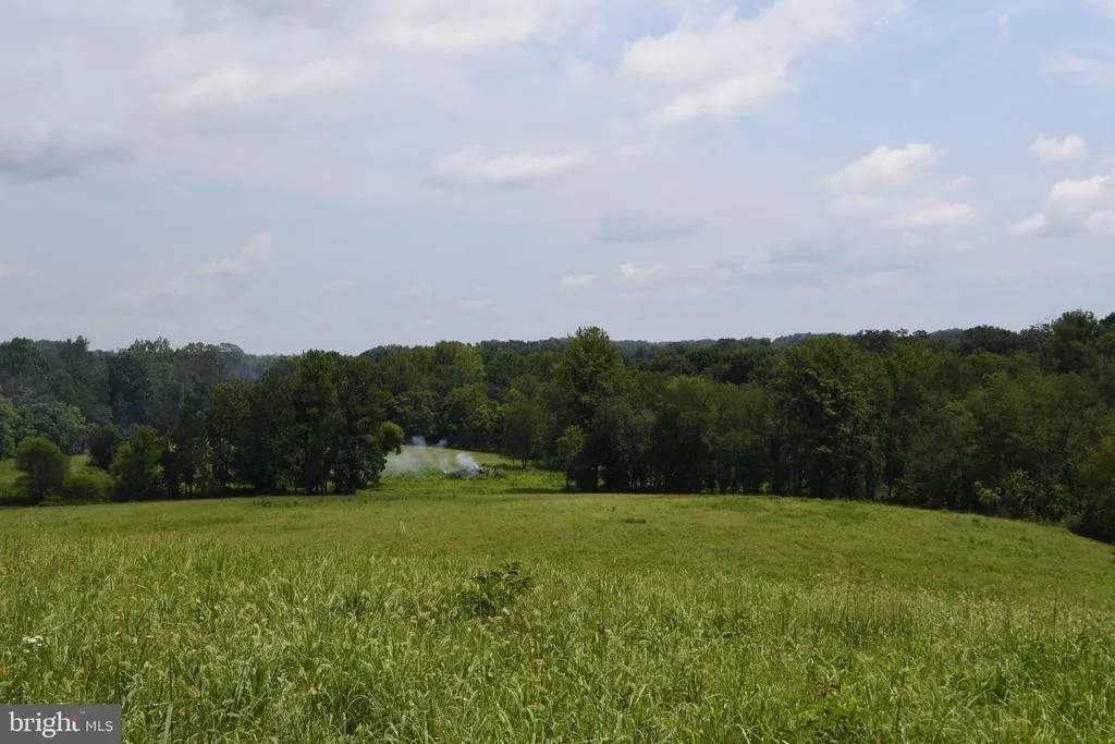 4177040480.jpeg?format=webp