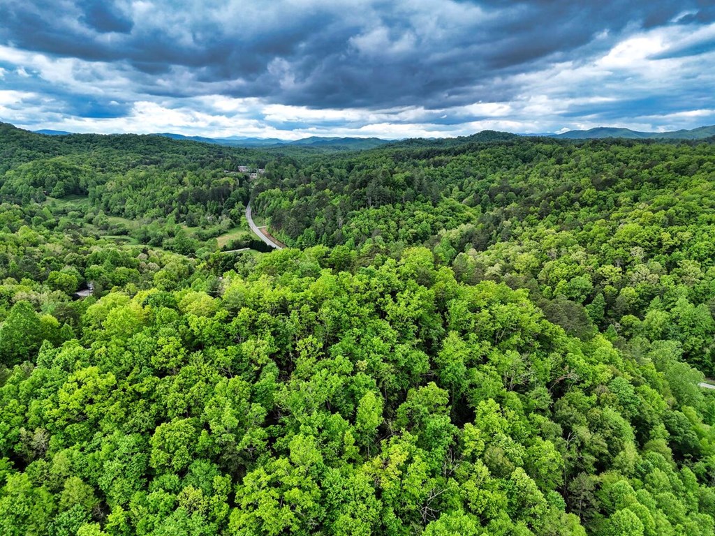 View Property | Jamie Lea | Blairsville REALTOR®