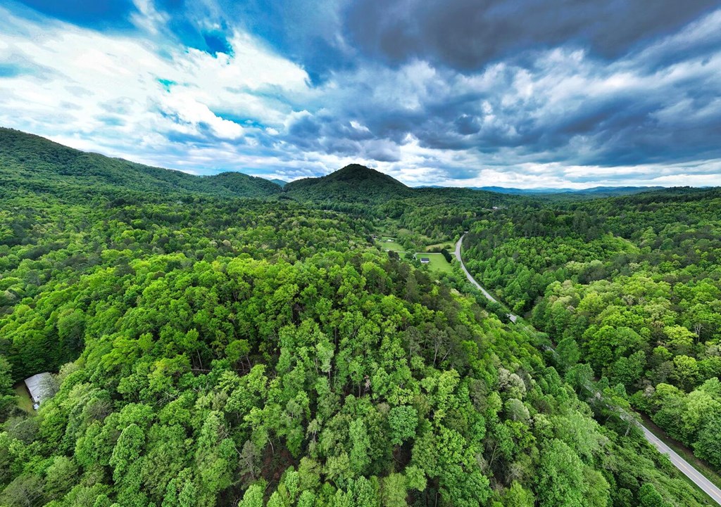 View Property | Jamie Lea | Blairsville REALTOR®