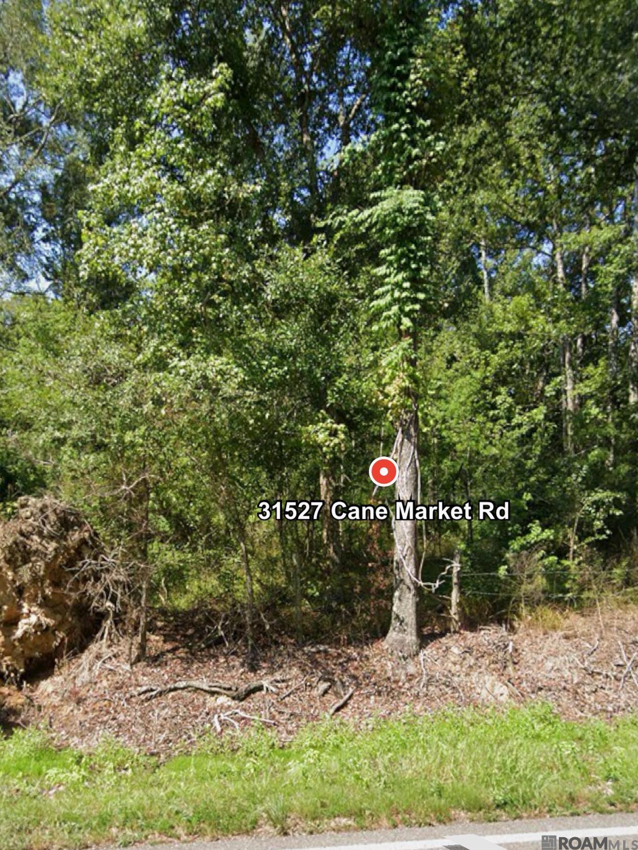 31527 Cane Market Rd For Sale, Walker, LA 70785 Land | ByOwner