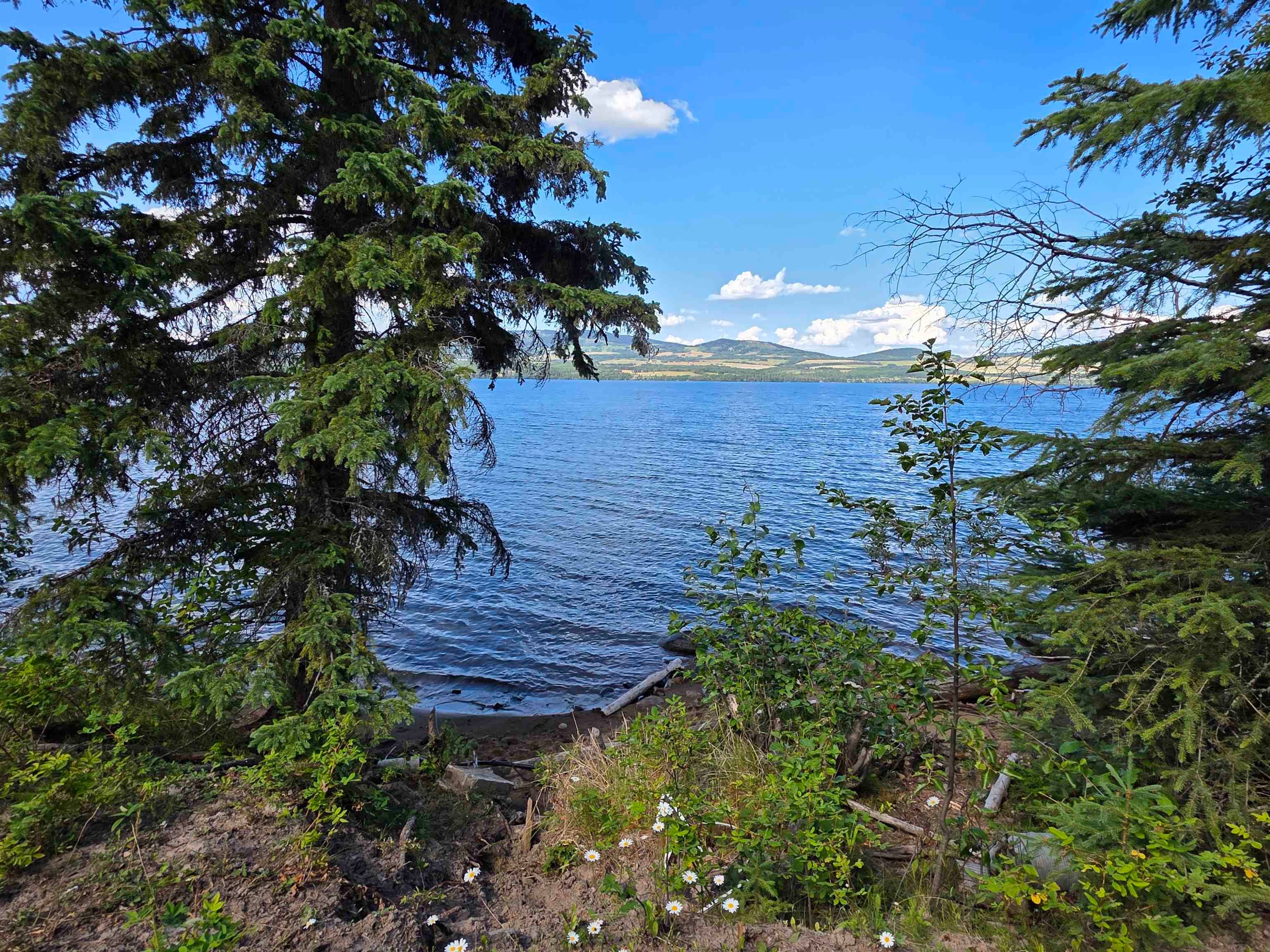 HP 29 Wilson Road Burns Lake | Land for Sale in Burns Lake | R3035132 ...