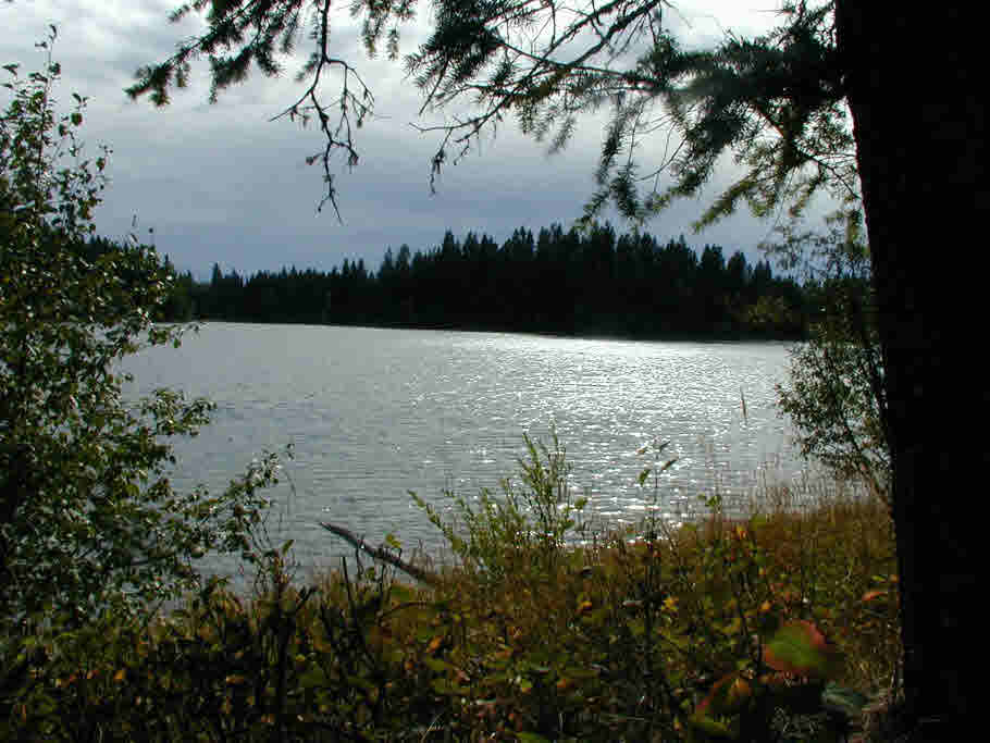9 Lower Stack Road Bridge Lake | Land for Sale in Bridge Lake | N166553 ...