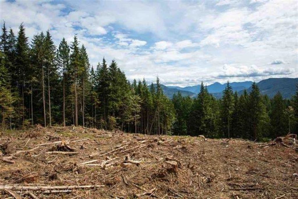 11533 Wilson Street Mission | Land for Sale in Mission | R3069287 | rennie