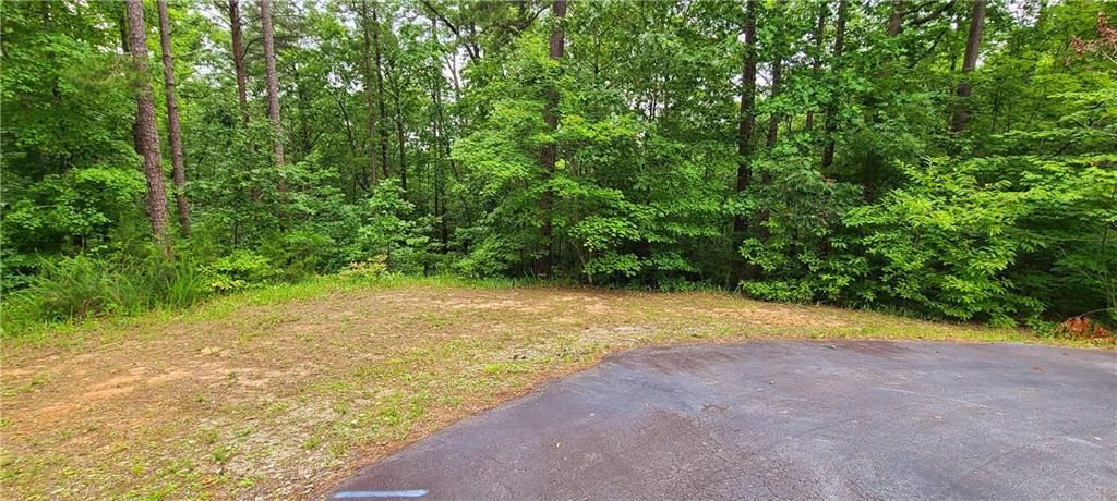 118 Art Sheldon Way, Pickens, SC 29671, MLS #20263994 - Allen Tate