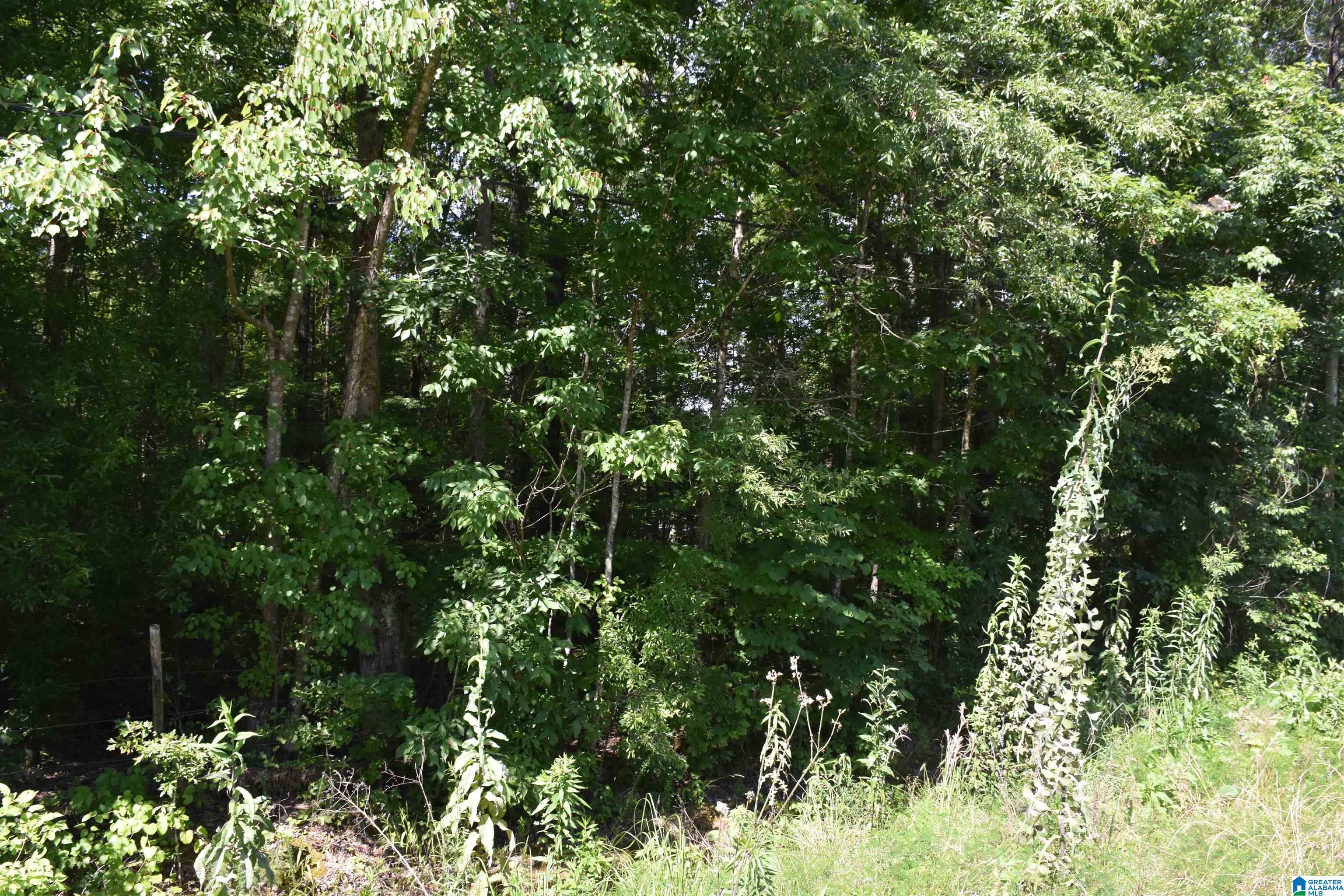 0 Old Sylacauga Highway 0, SYLACAUGA AL Real Estate Listing ...