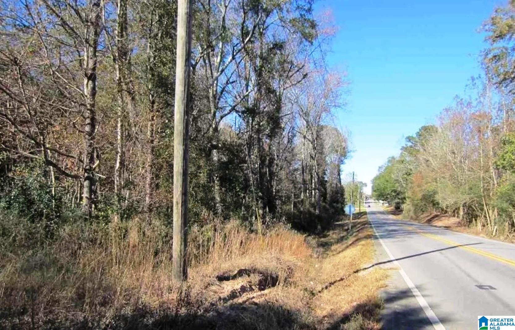 Sylacauga, AL Homes For Sale & Real Estate | REMAX