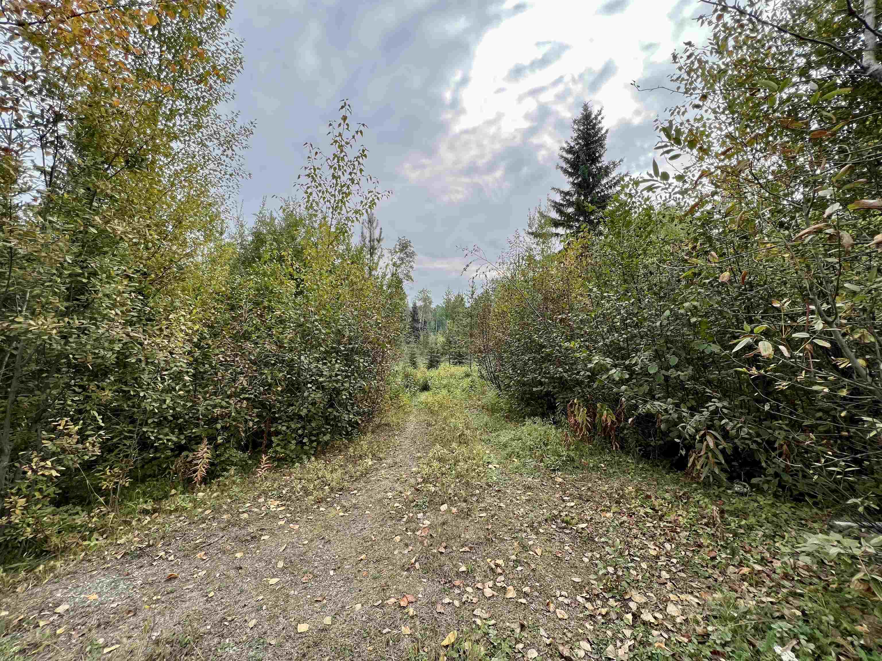 9134 Sykes Road, Western Acres, Prince George | Land for Sale in Prince ...