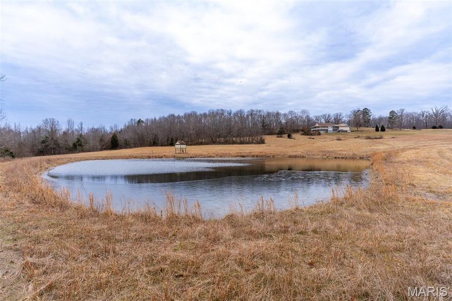 14524 Highway 67 N, Williamsville, MO 63967 for sale - Stessa