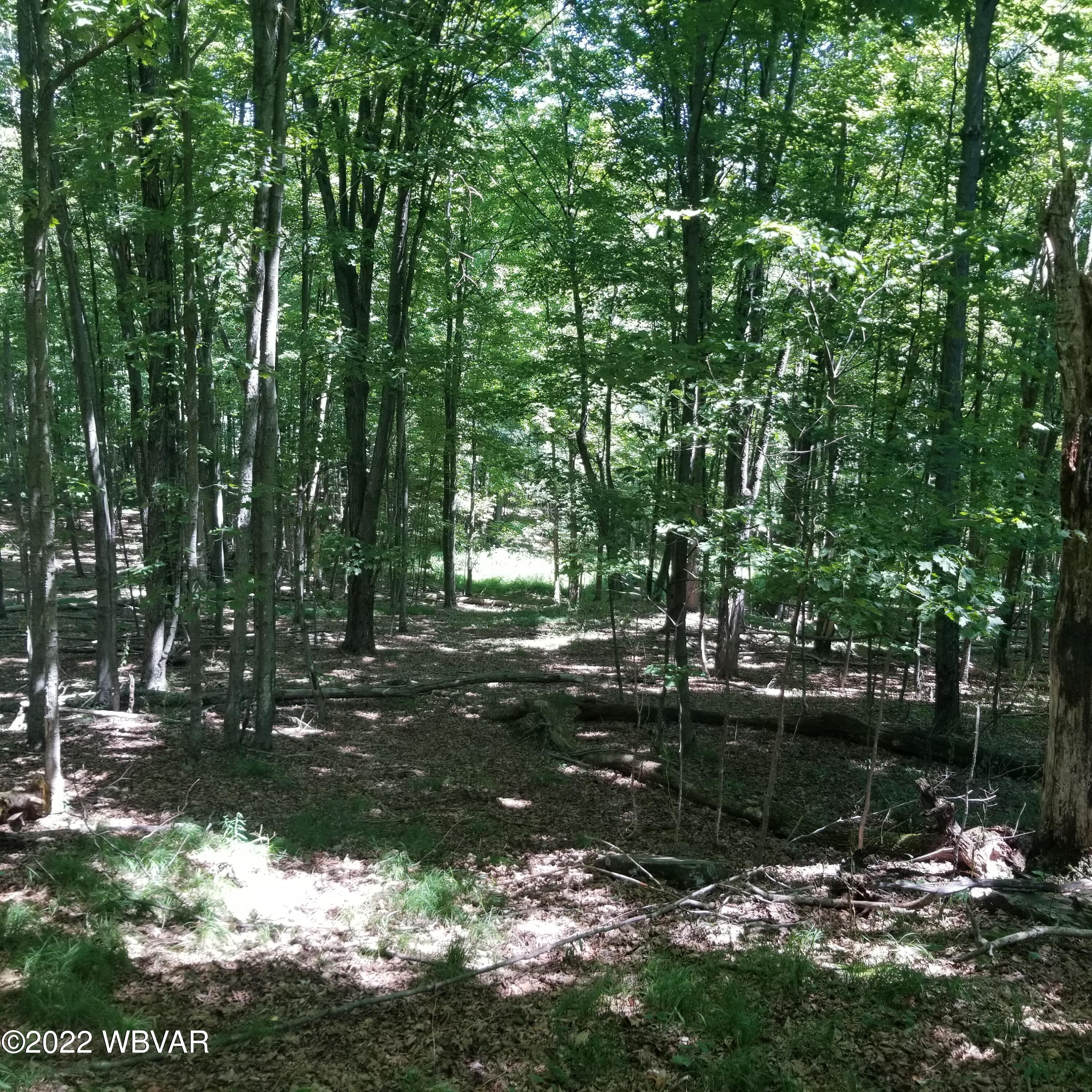 Overton Road, Dushore, PA 18614 | MLS WB-95407 | Listing Information ...