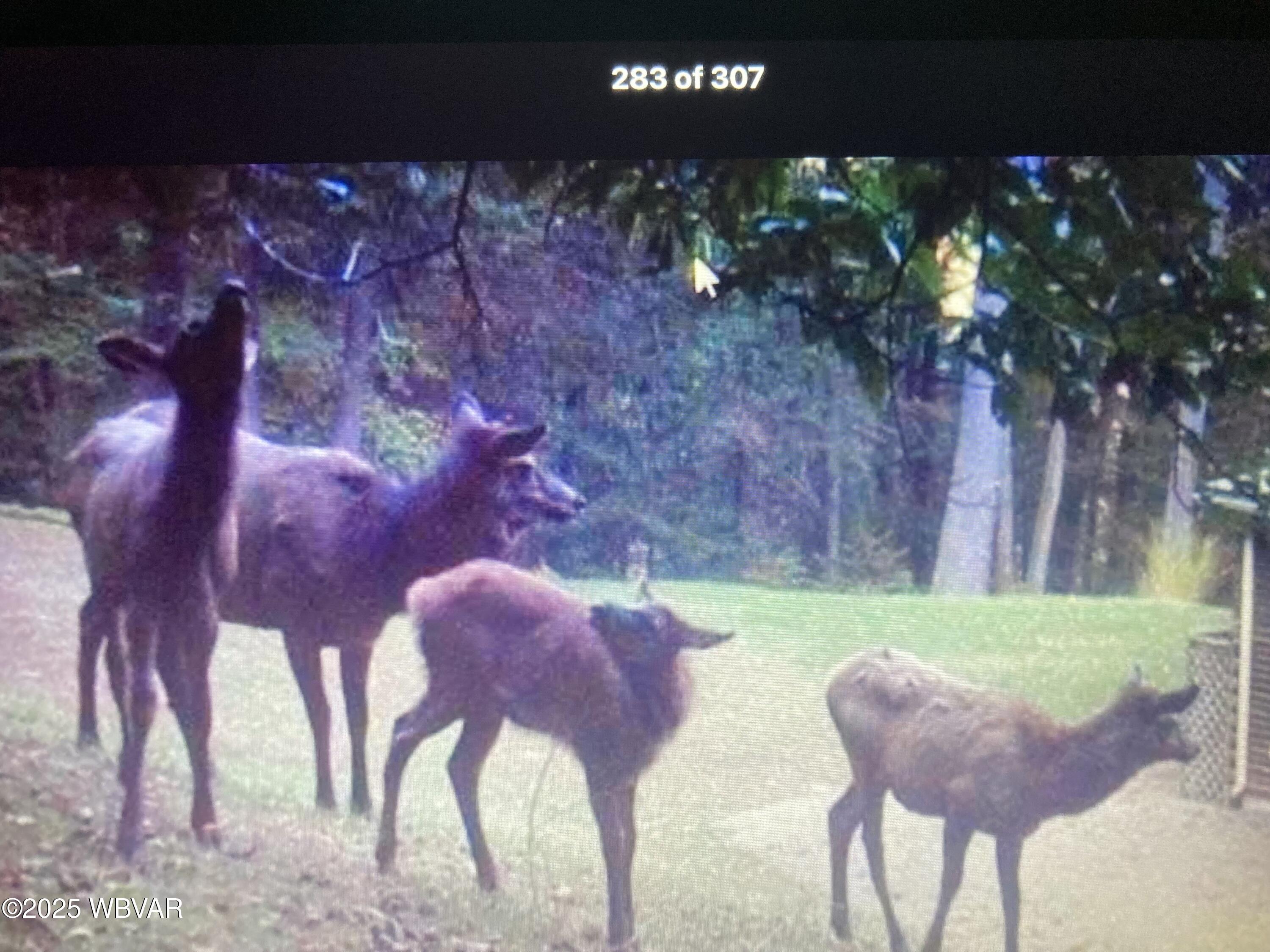 6235 Kettle Creek Road, Renovo, PA 17764 | MLS WB-102450 | Listing ...