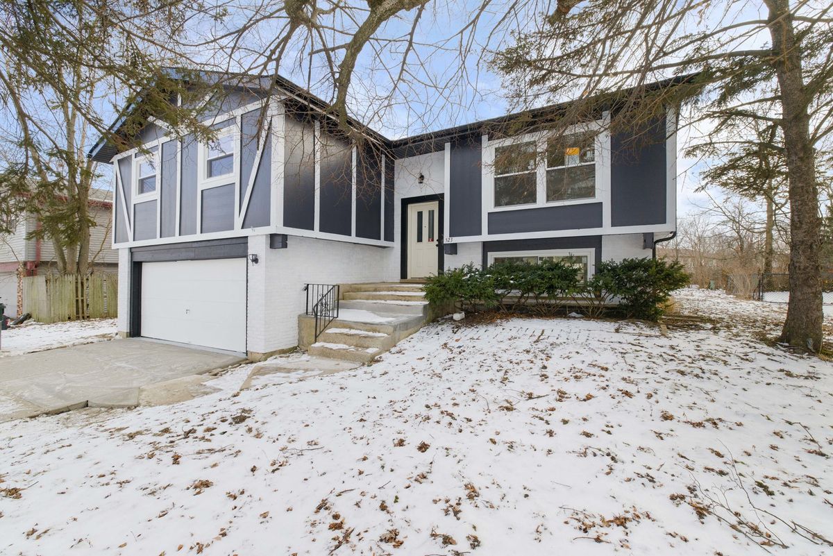 523 Nathan Rd, University Park, IL 60484 for sale - Stessa