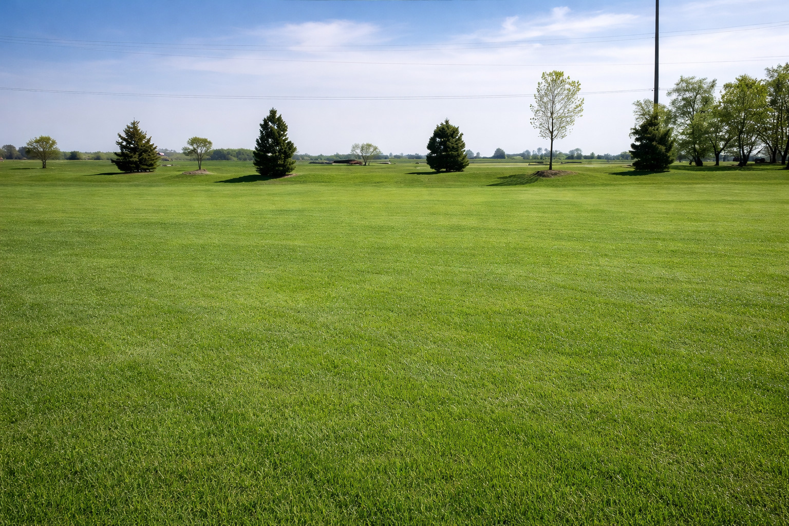 Monee, Homes For Sale | REMAX