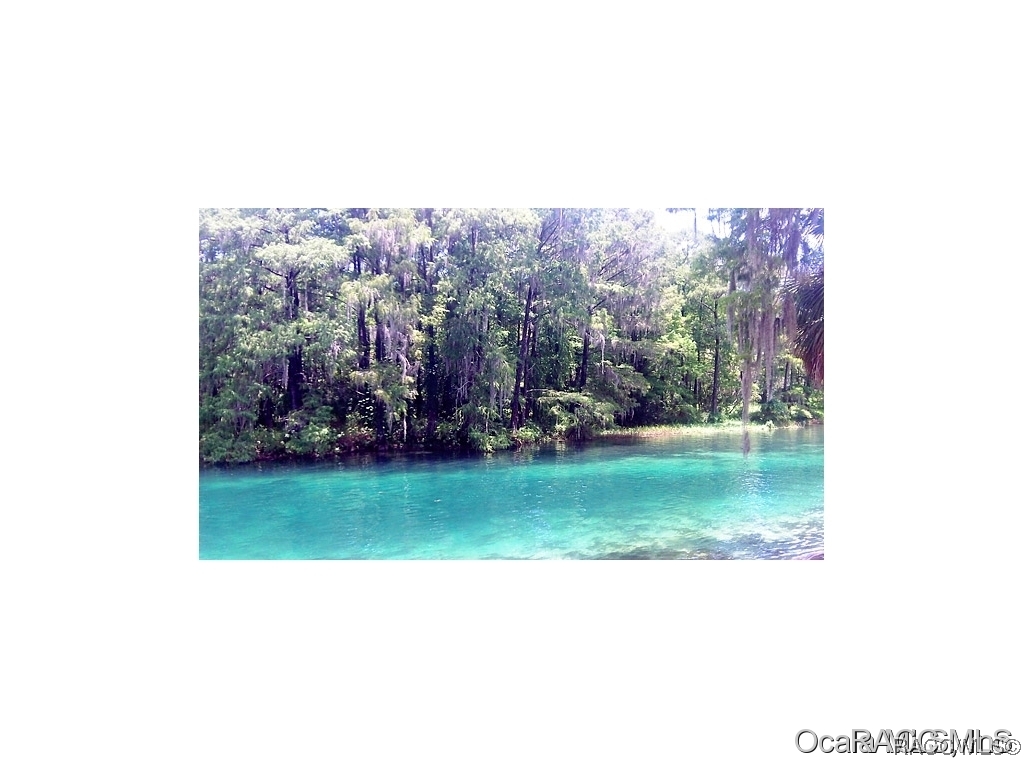 11540 SW Hendrix Drive For Sale, Dunnellon, IA 34432 Land | ByOwner