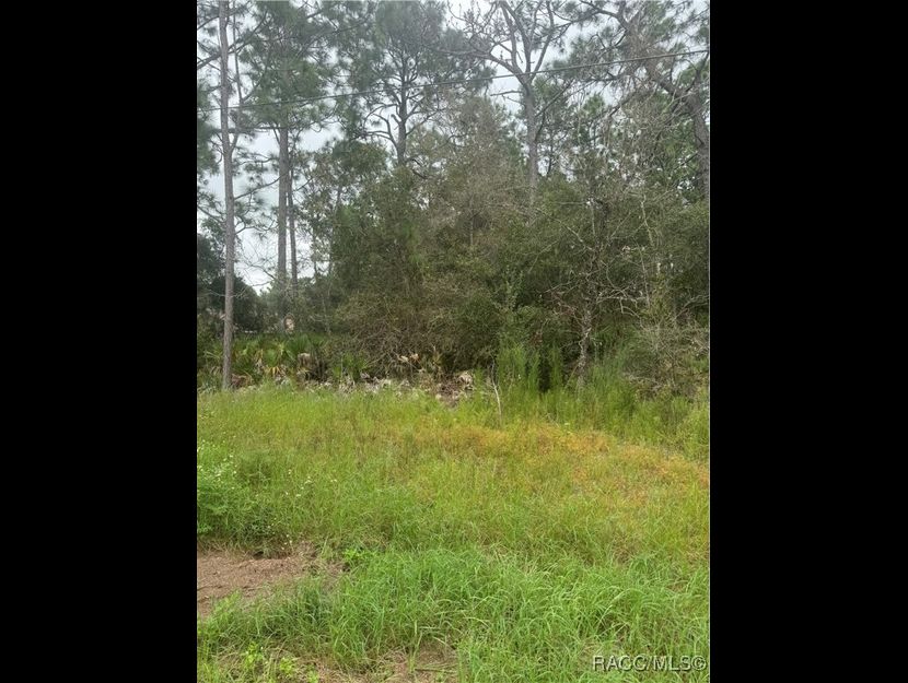 5034 W Pinto Loop For Sale, Beverly Hills, NY 34465 Land | ByOwner