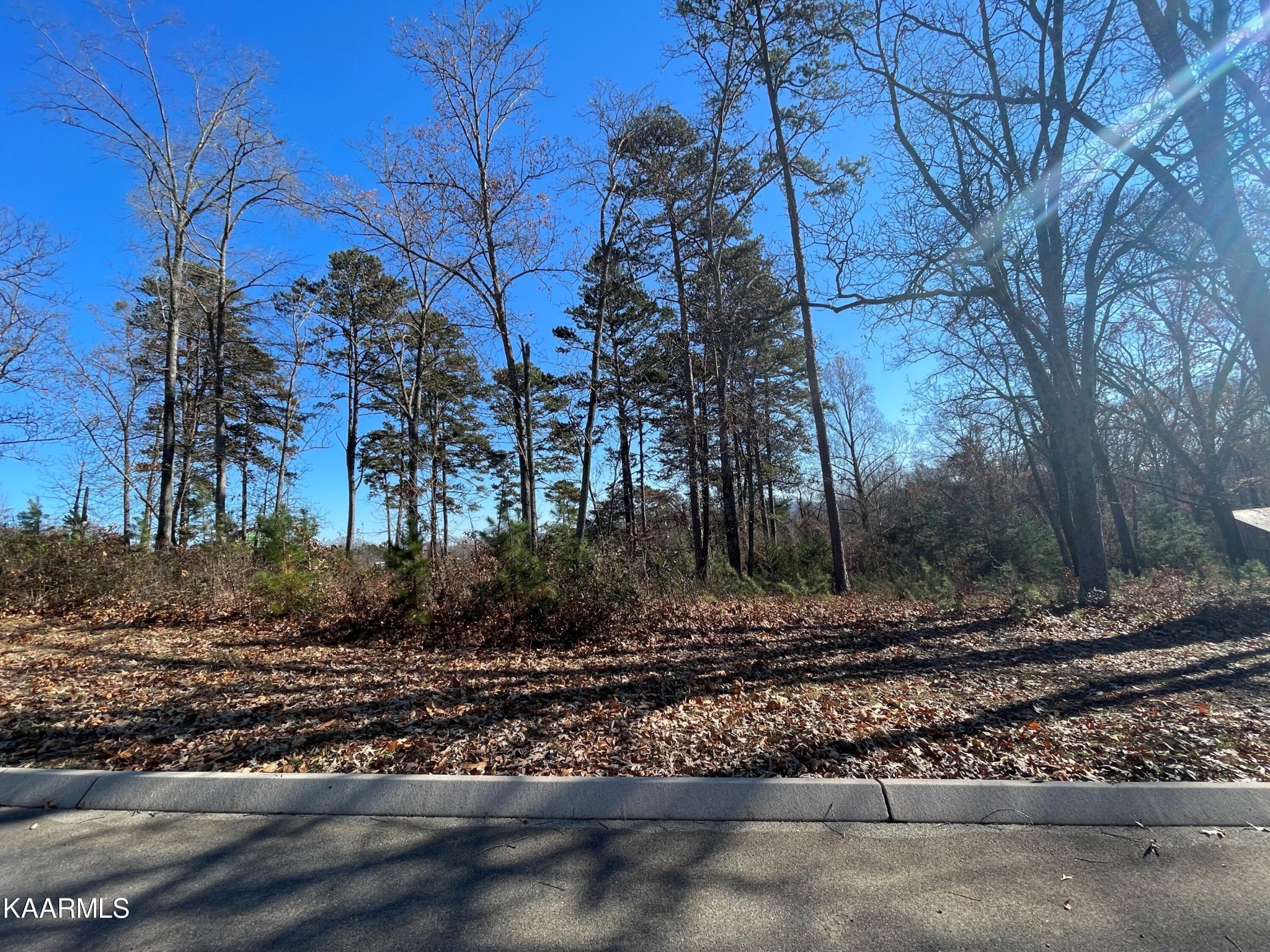 96 Cow Poke Lane, Rutledge, TN 37861 | MLS 3074368 | Listing ...