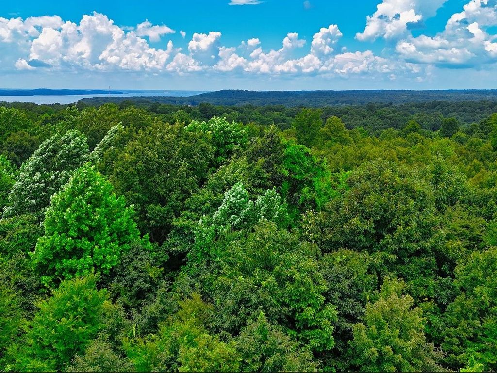 Shores Trail, Stewart, TN 37175 | MLS 3000418 | Listing Information ...
