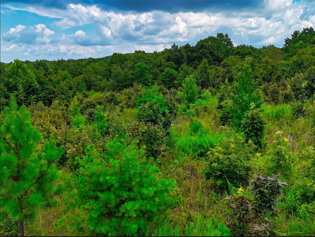 Shores Trail, Stewart, TN 37175 | MLS 3000418 | Listing Information ...