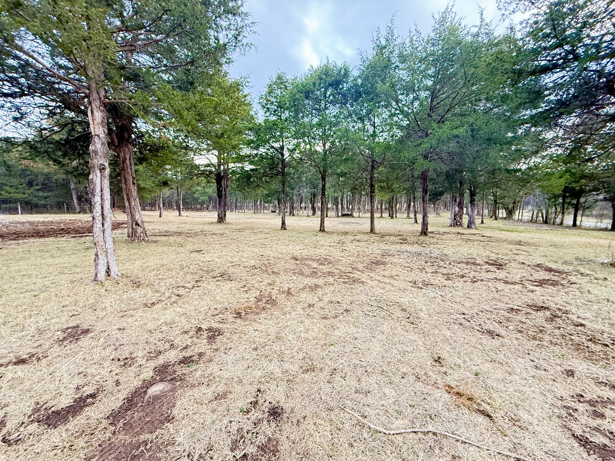 160 Osteen Ln, Chapel Hill, TN 37034 | MLS 3074030 | Listing ...