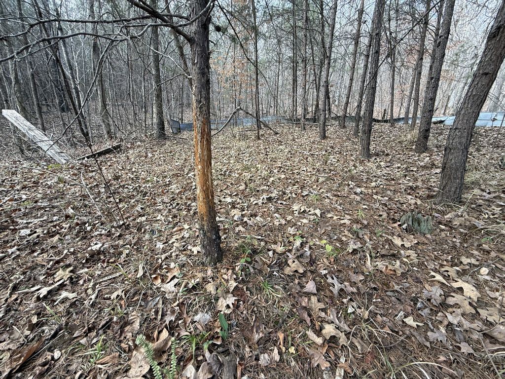 4819 Morrison Creek Rd, Clifton, TN 38425 | MLS 3069434 | Listing ...