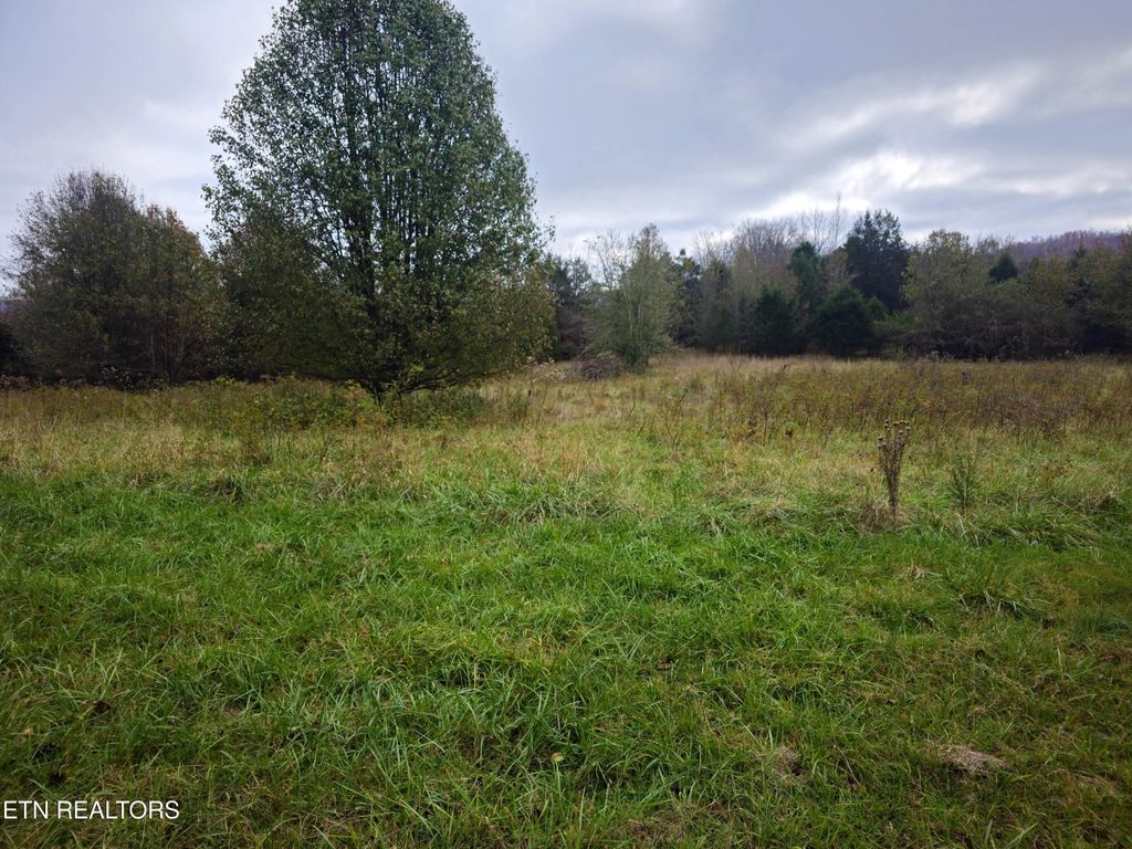 43 Hidden River Ave, Spencer, TN 38585 | MLS 3110536 | Listing ...