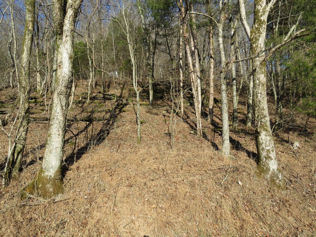 91 Carver Hollow Rd, Pleasant Shade, TN 37145 | MLS 2471174 | Listing ...