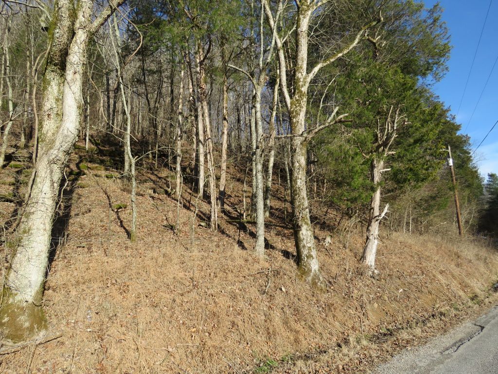91 Carver Hollow Rd, Pleasant Shade, TN 37145 | MLS 2471174 | Listing ...