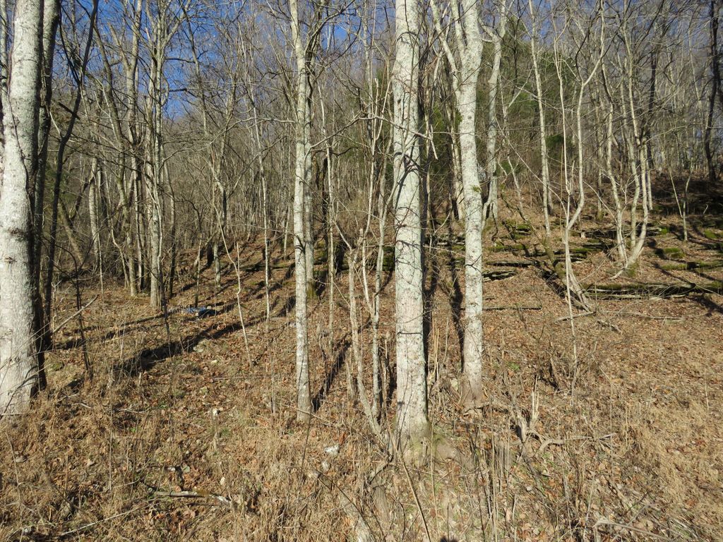 91 Carver Hollow Rd, Pleasant Shade, TN 37145 | MLS 2471174 | Listing ...
