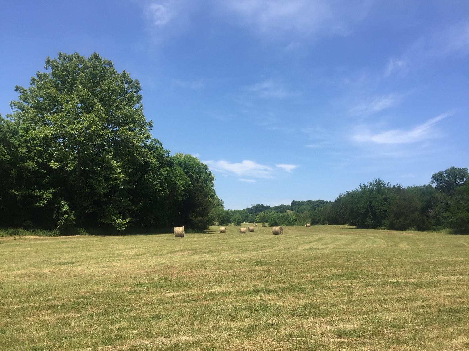 College Grove, Homes For Sale | REMAX