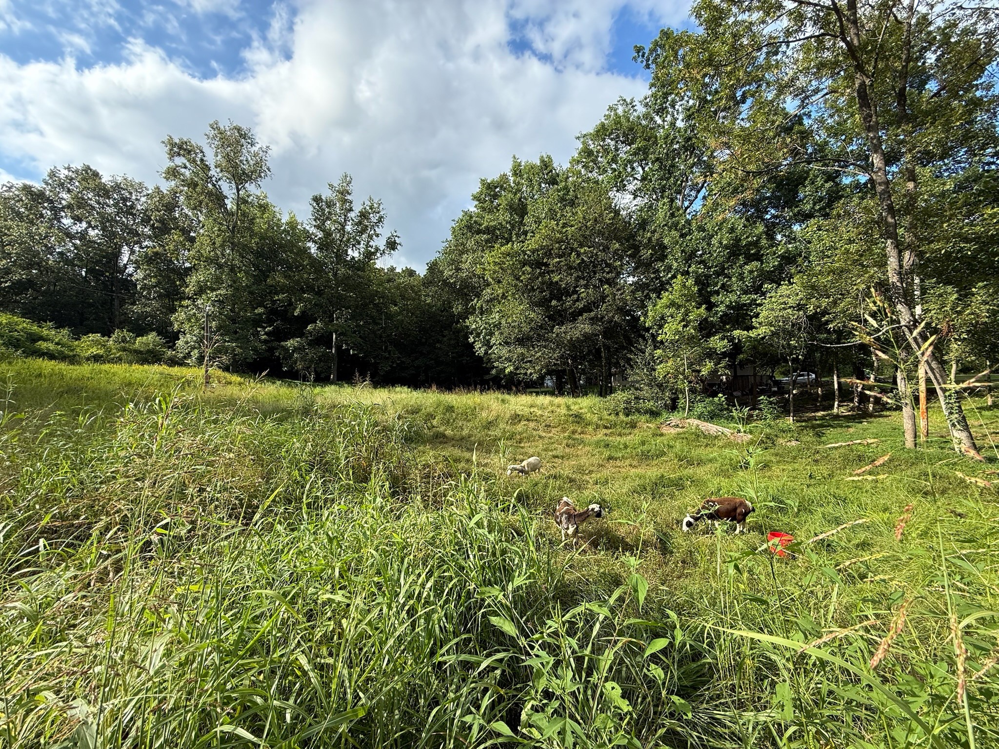 300 Lee Dr, Beaver Dam, KY 42320 | MLS 2979670 | Listing Information ...