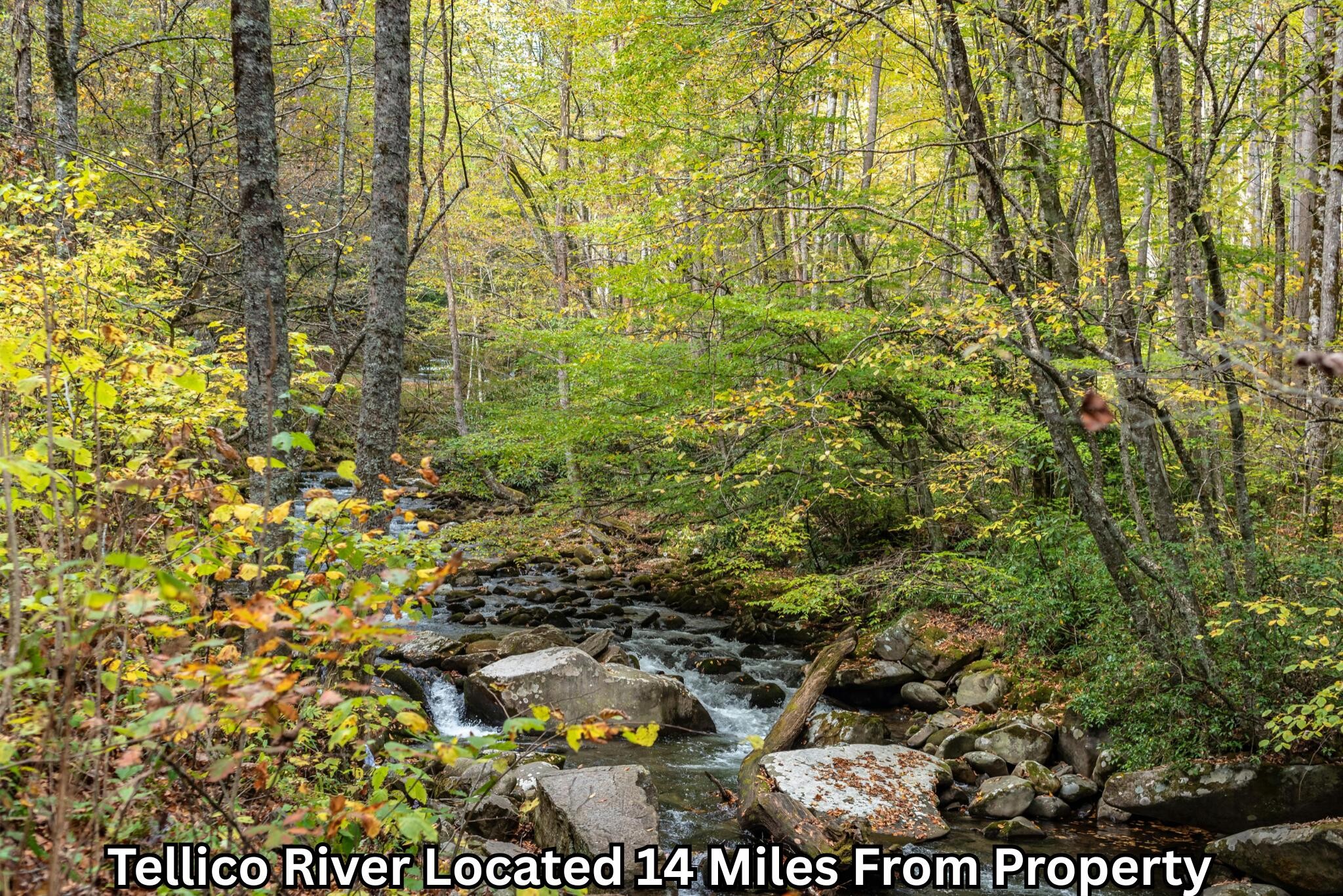 669 POND RIDGE RD, TELLICO PLAINS, TN 37385 | REMAX