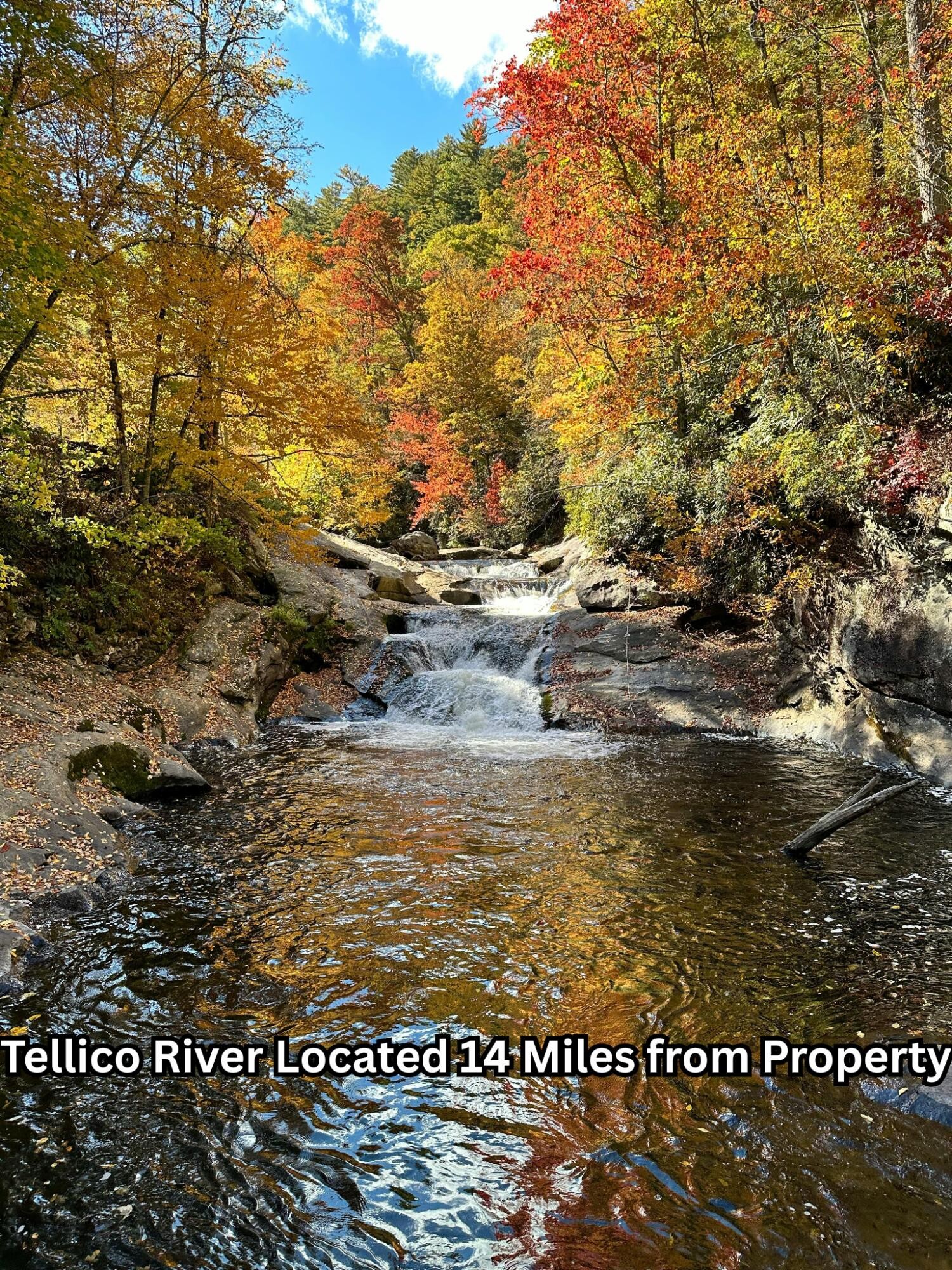 669 POND RIDGE RD, TELLICO PLAINS, TN 37385 | REMAX