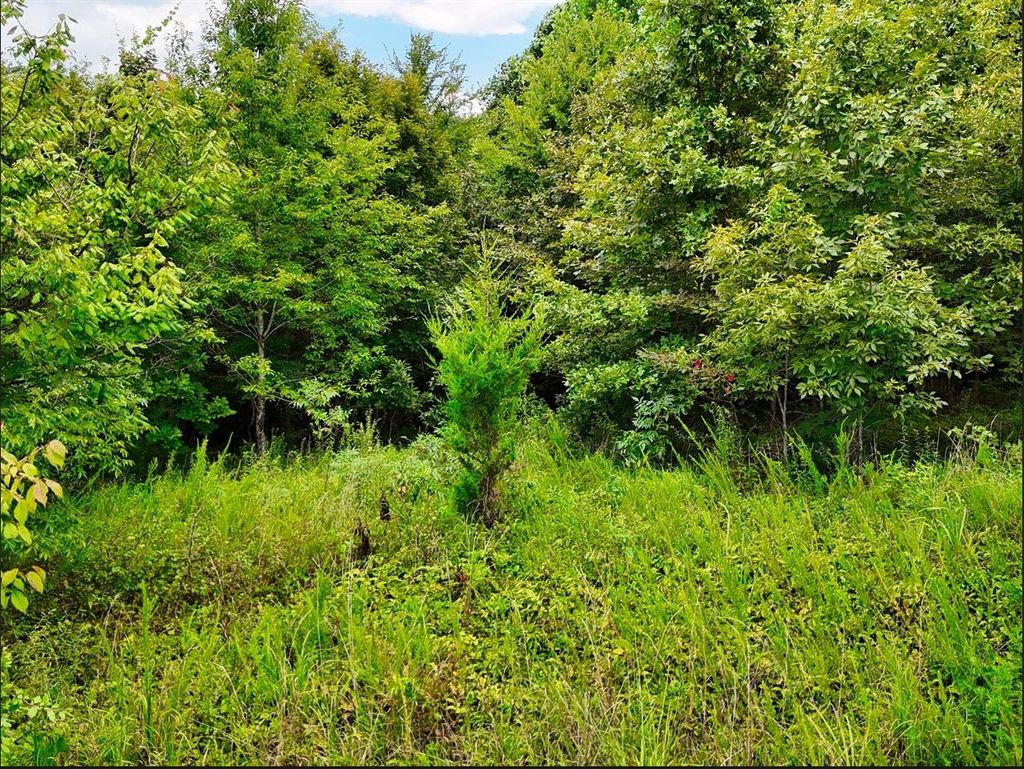 Shores Trail, Stewart, TN 37175 | MLS 3000397 | Listing Information ...