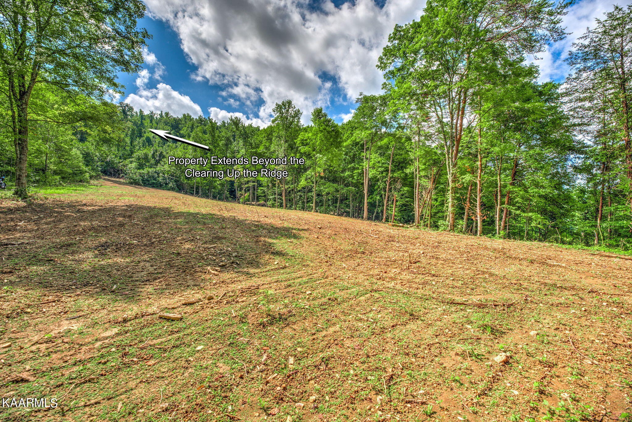 Merritt Rd, Washburn, TN 37888 | MLS 3103973 | Listing Information ...