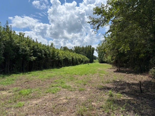 6502 Summitville Rd, Morrison, TN 37357 | MLS 2970507 | Listing ...