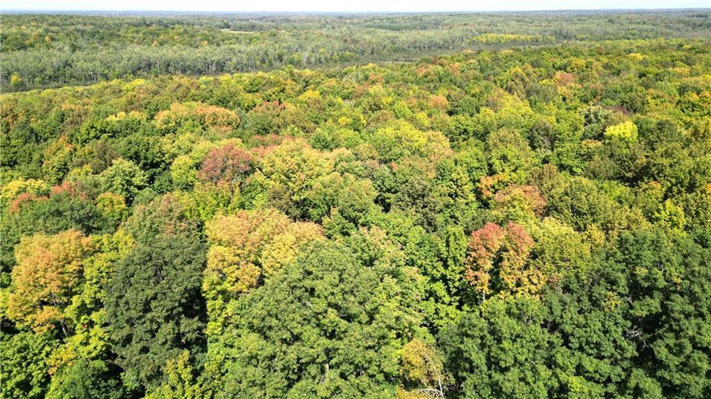 80 Acres Cth I, Ladysmith, WI 54848 | MLS 802600355850 | Listing ...