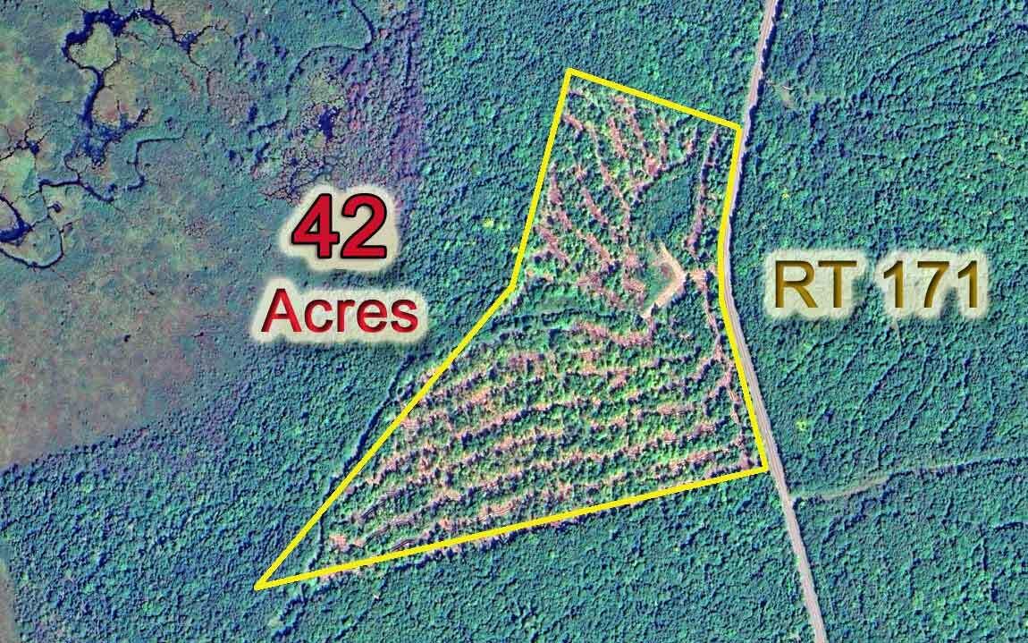 Lot 2 RT 171 Road, Drew Plt, ME, 04497 - Mooers Realty