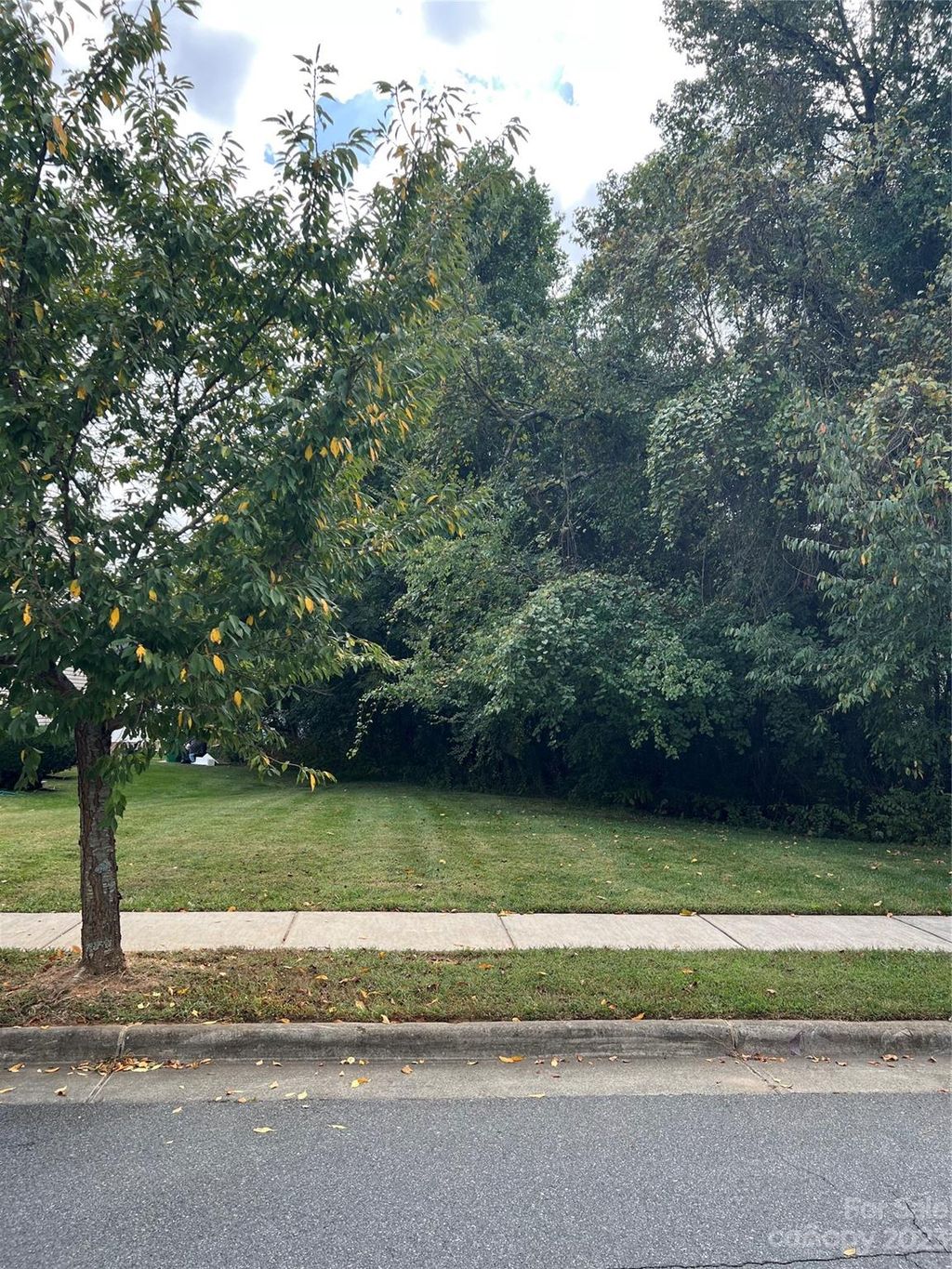 4430 Canipe Drive, Charlotte, NC 28269, MLS #4077984 - Allen Tate