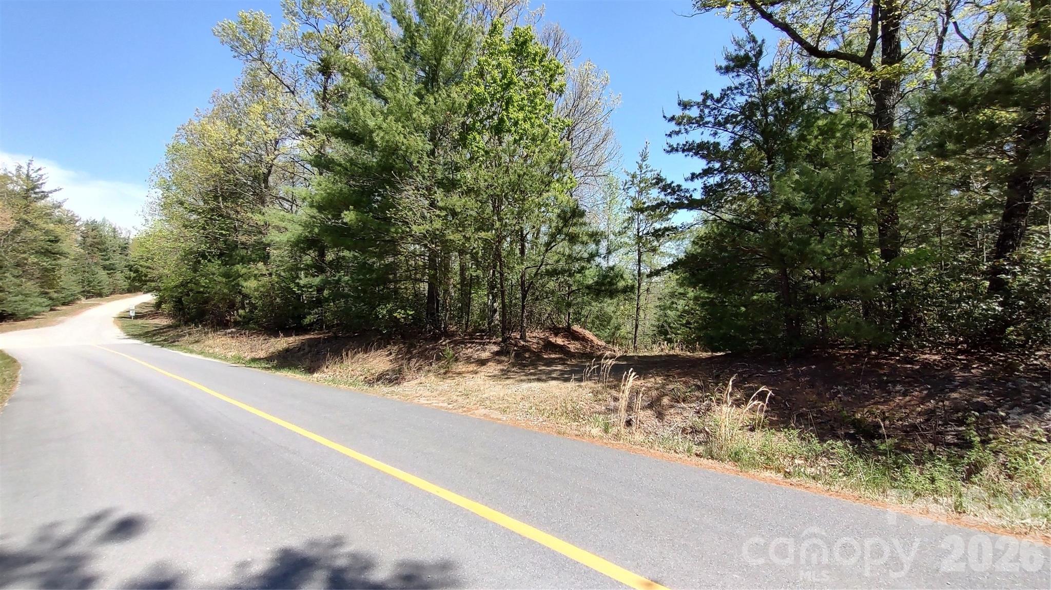 sTAGHORN RD, PURLEAR, NC 28665 | REMAX