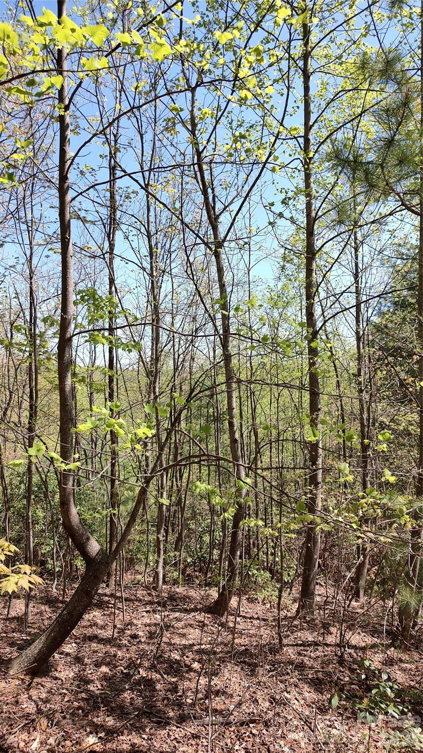 sTAGHORN RD, PURLEAR, NC 28665 | REMAX