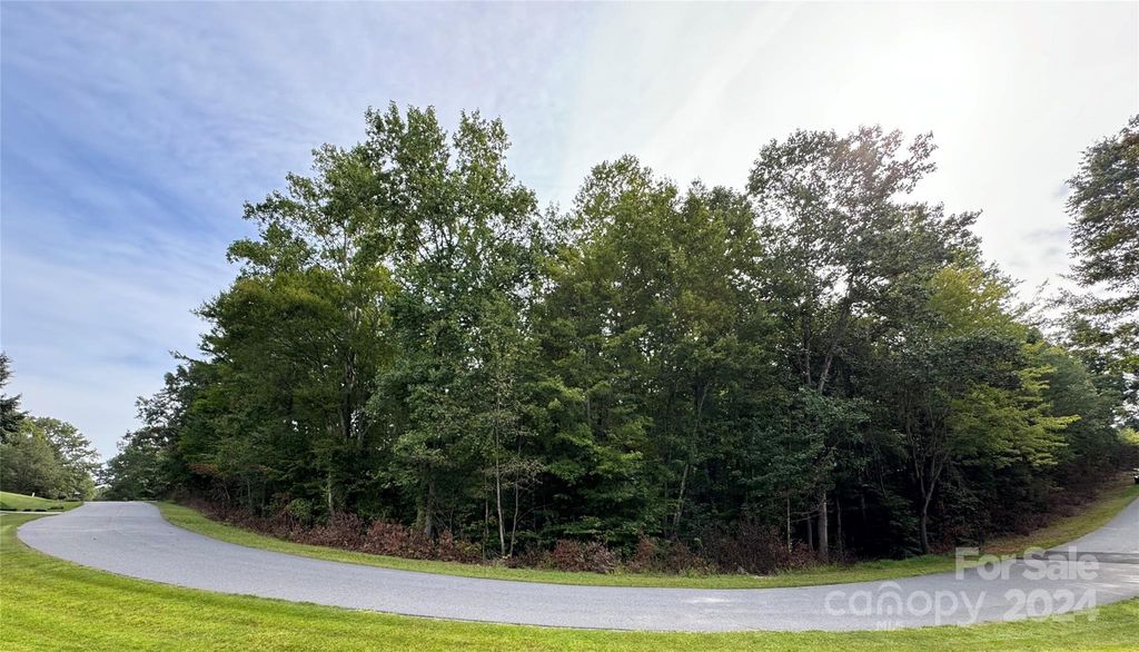 0000 Spring Lake Drive, Iron Station, NC 28080, MLS #4182525 - Allen Tate