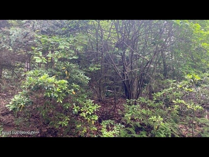 9 Sky Hawk Trail For Sale, Scotrun, PA 18355 Land | ByOwner