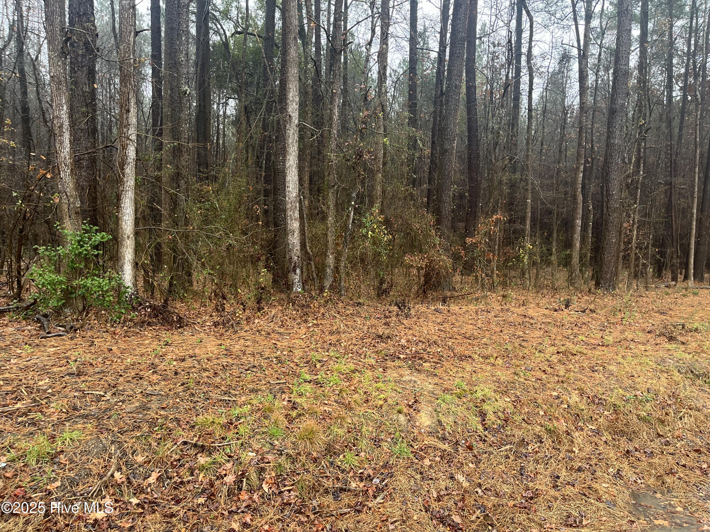 Reams Road For Sale, Spring Hope, NC 27882 Land | ByOwner