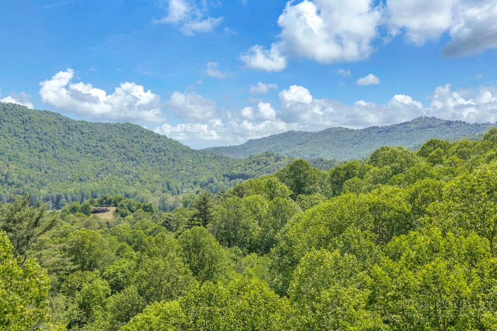 36 DAISY LN, NEWLAND, NC 28657 | REMAX